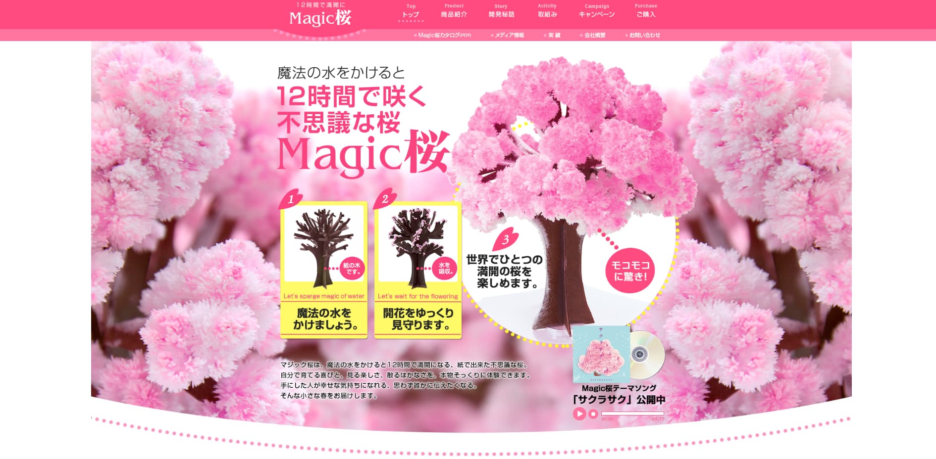 【マジック桜】楽しめる期間やどこで買える？家で桜を咲かせてみよう！ | kimakura