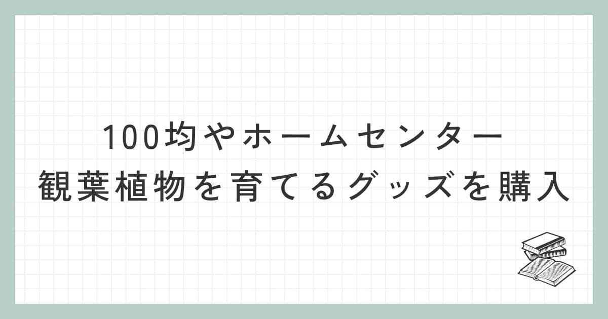 【ダイソー】100均で観葉植物のカポックを購入した感想！ | kimakura